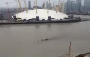 Thames “Monster”, Churchill’s Ghost, The BBC Entity, UFO pics and NASA ...